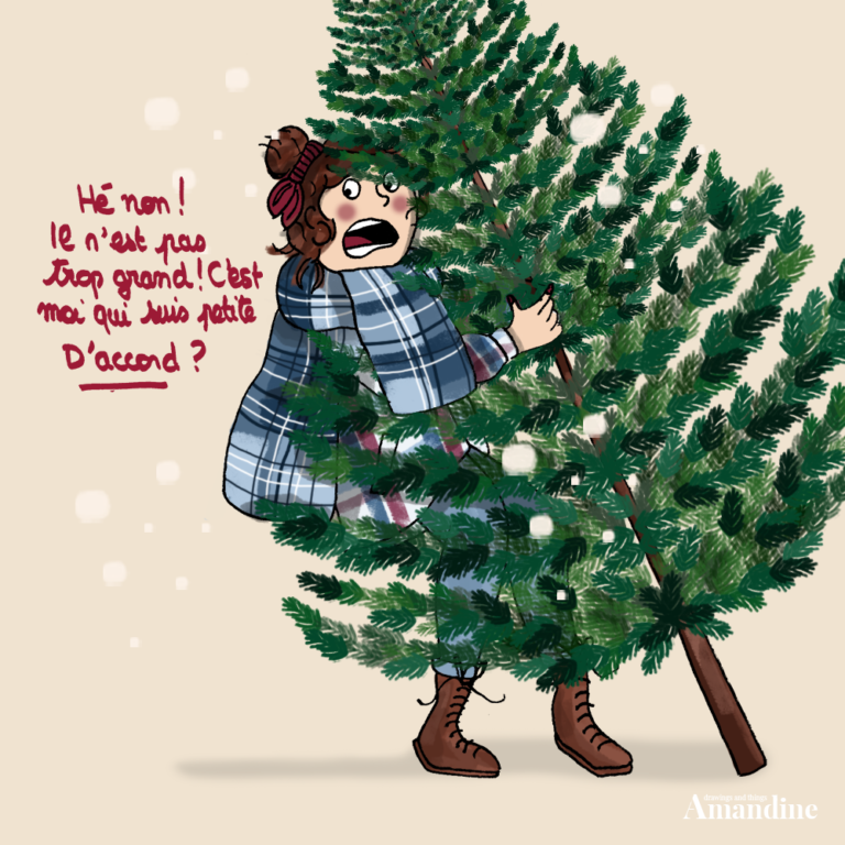 Mon beau sapin, roi des forêts